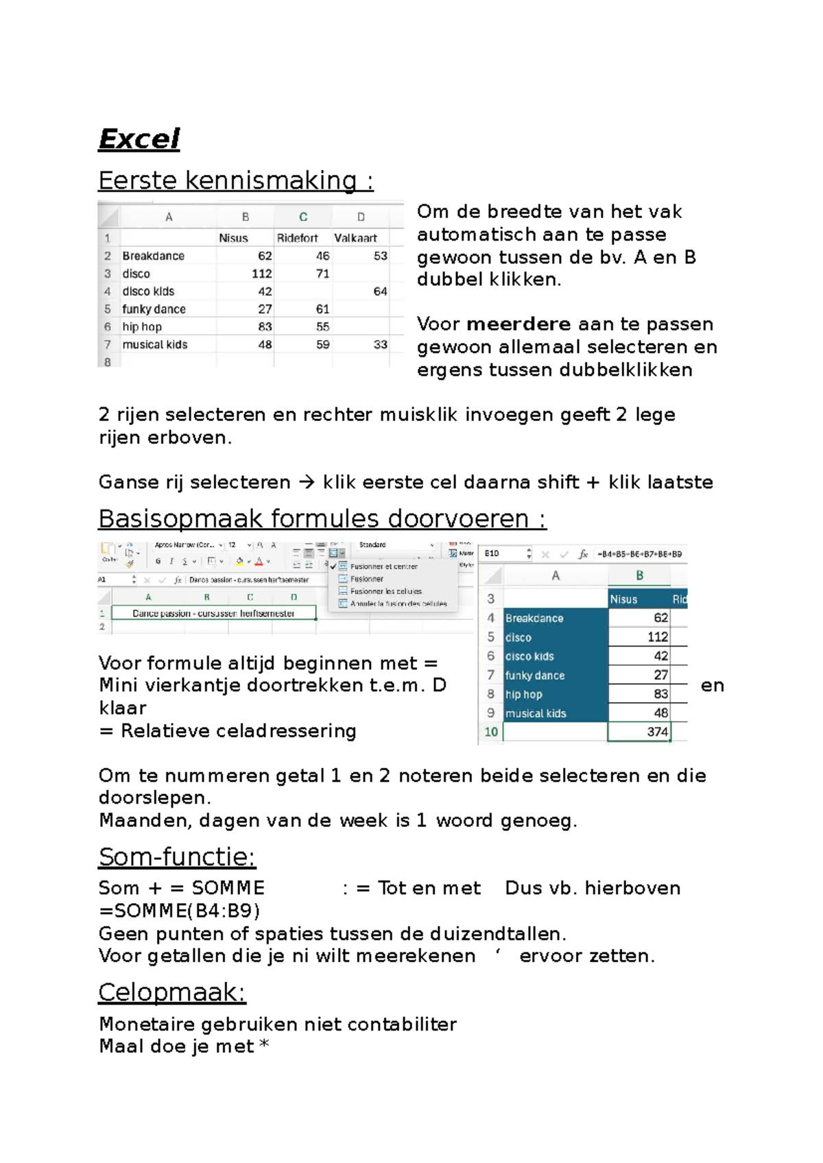 SV Excel - Kleine samenvatting van basisfuncties en formules - Studocu