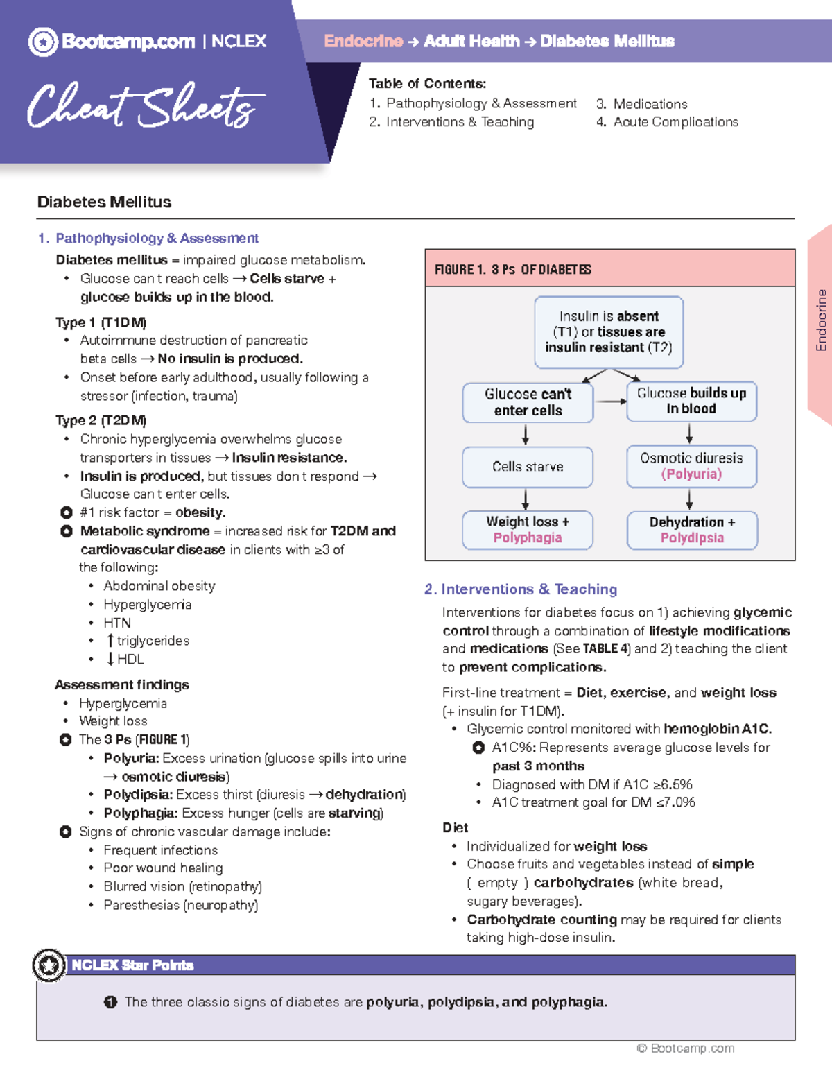 Diabetes Mellitus Cheat Sheet: Pathophysiology, Interventions ...