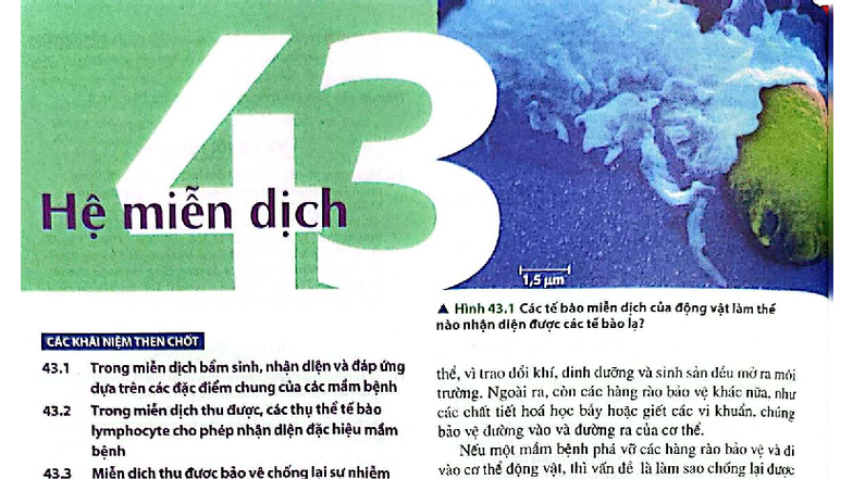 Chương 43: Hệ Miễn Dịch - Tìm Hiểu Về Các Tế Bào và Phản Ứng Miễn Dịch ...