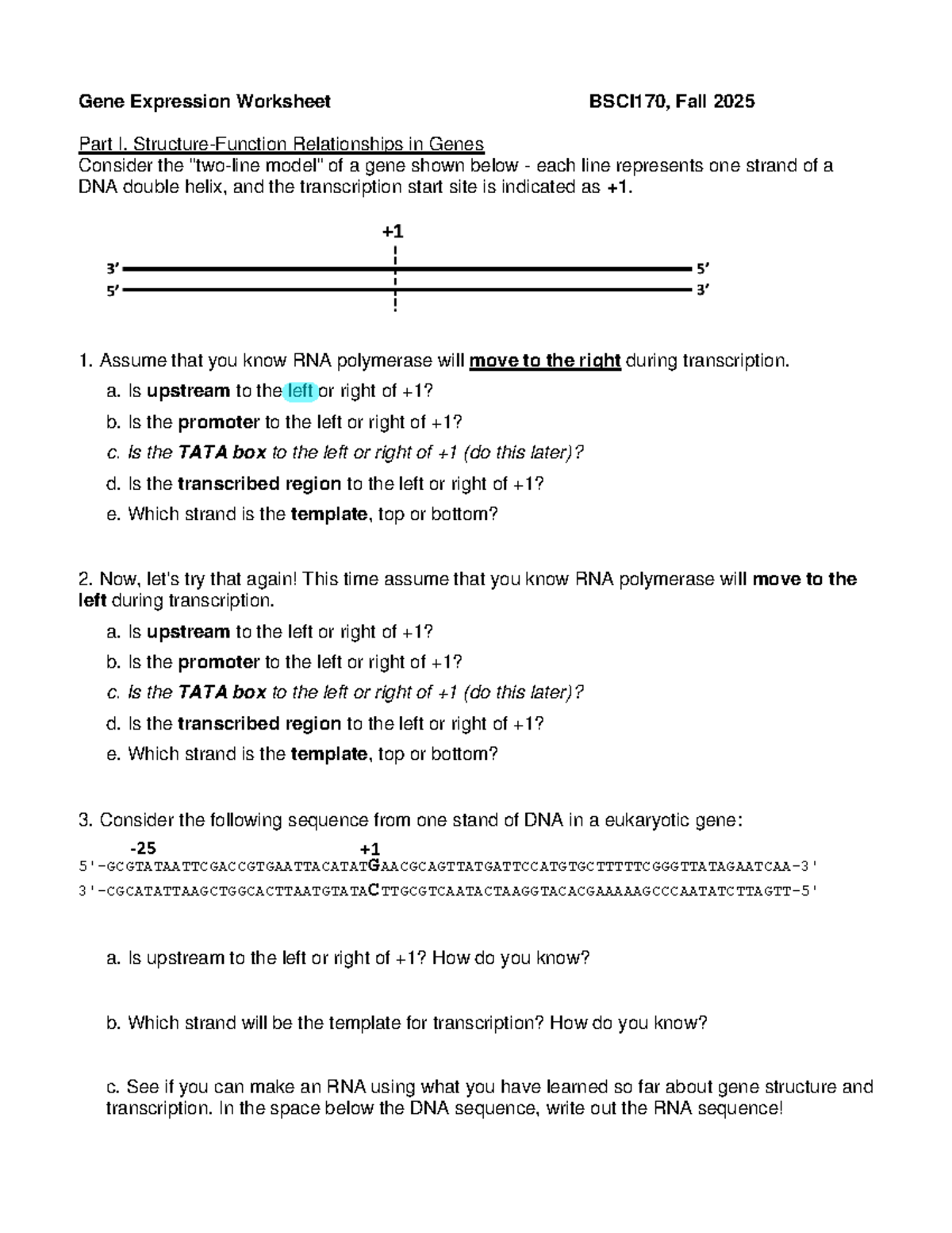 Gene Expression Worksheet BSCI170, Fall 2025 - Part I Analysis - Studocu