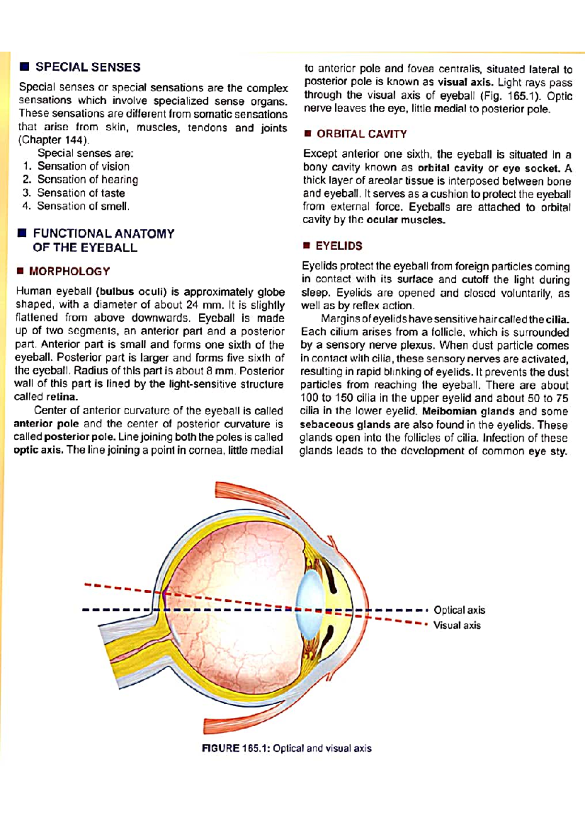 Visual System 1 - Physiology - SPECIAL SENSES to anterior pole and ...