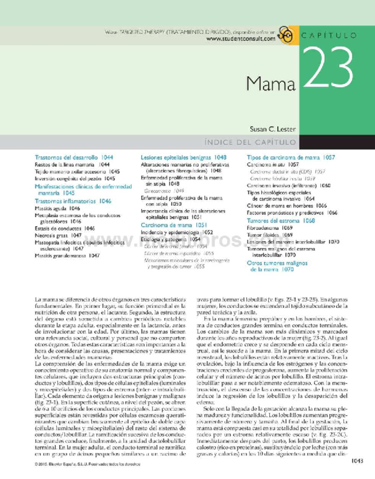 Capítulo 23 - Patología de la Mama (T R A T A M IE N T O D IR IG ID O ...