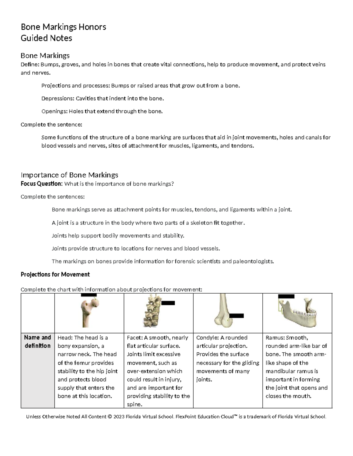 Condyle Bone Marking Function