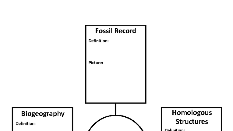 Evidence of Evolution Graphic Organizer - Fossil Record Evidence of ...