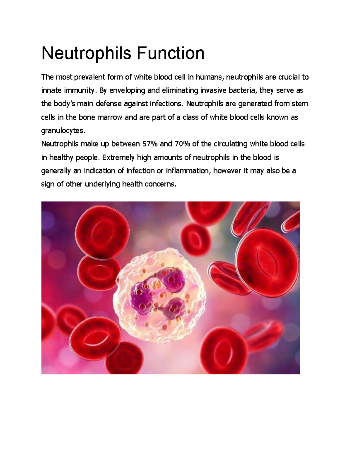 Neutrophils Function - By enveloping and eliminating invasive bacteria ...