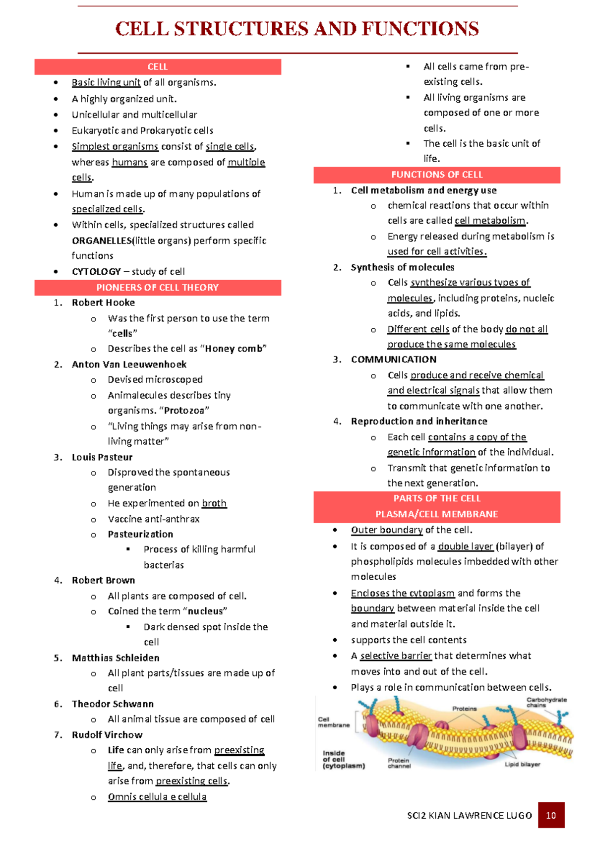 CELL STRUCTURES AND FUNCTIONS - CELL Basic living unit of all organisms ...