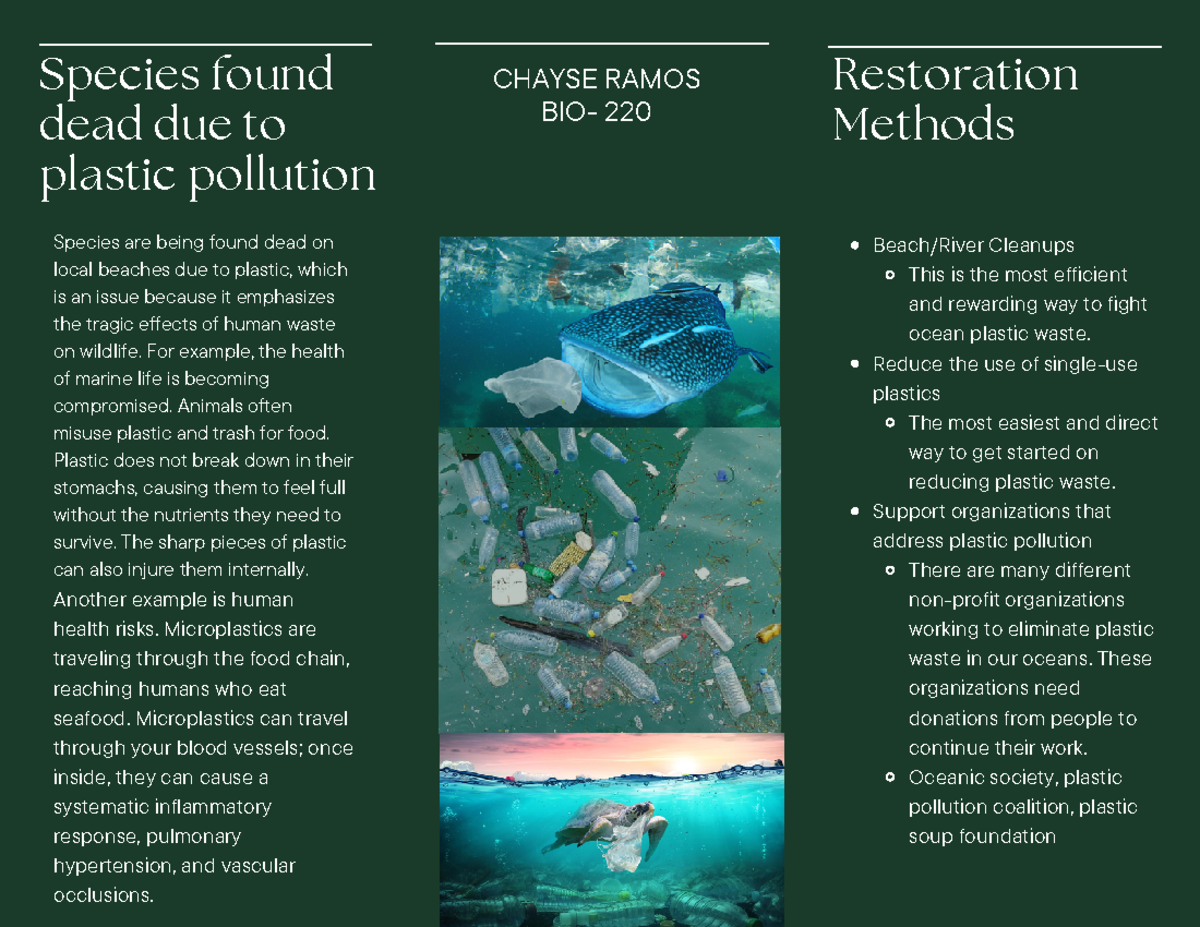 Restoration Strategies for Ocean Plastic Pollution - BIO-220 - Studocu
