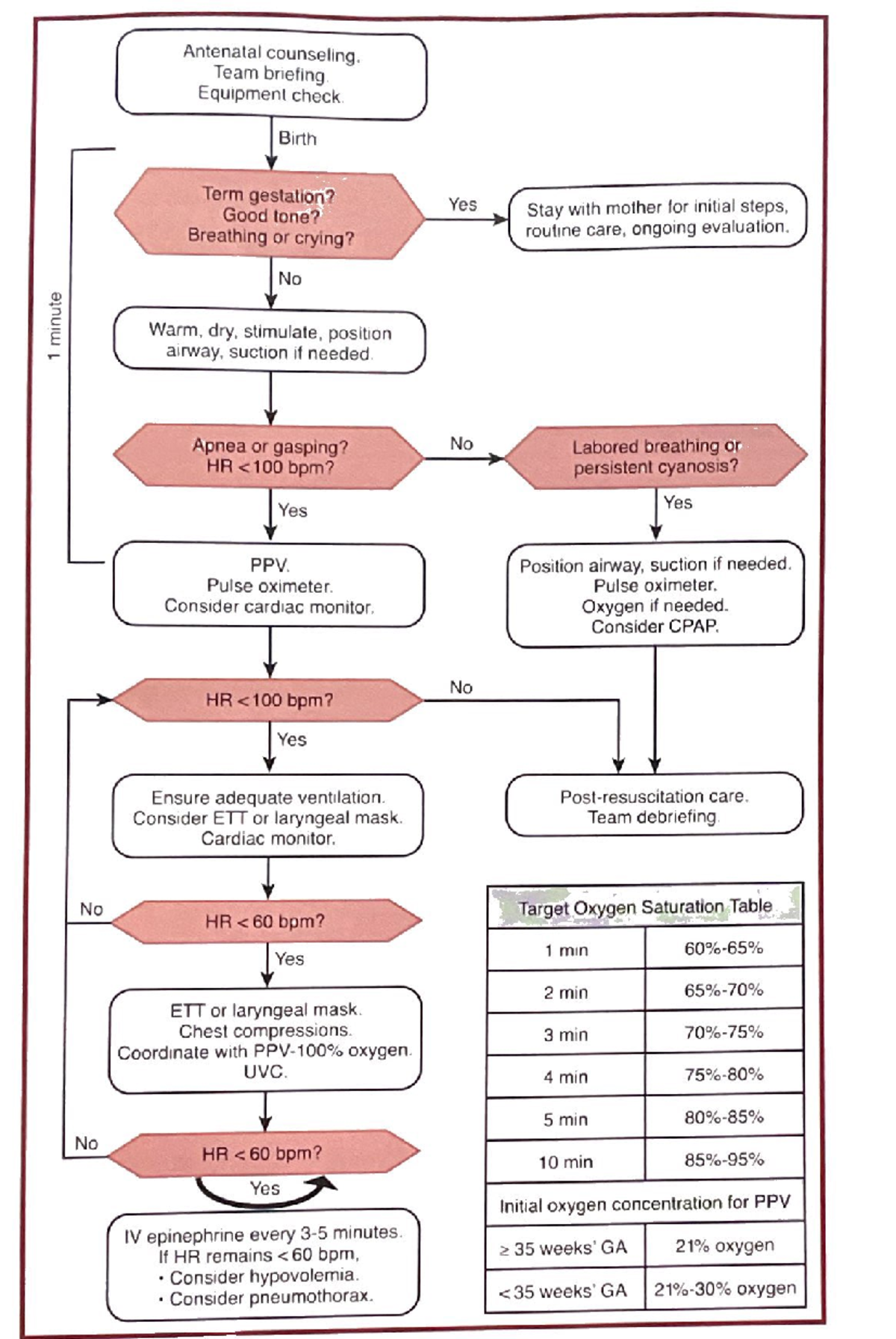 NRP algorithm - Neonatal Resusitation - 1 minute No ee Antenatal ...