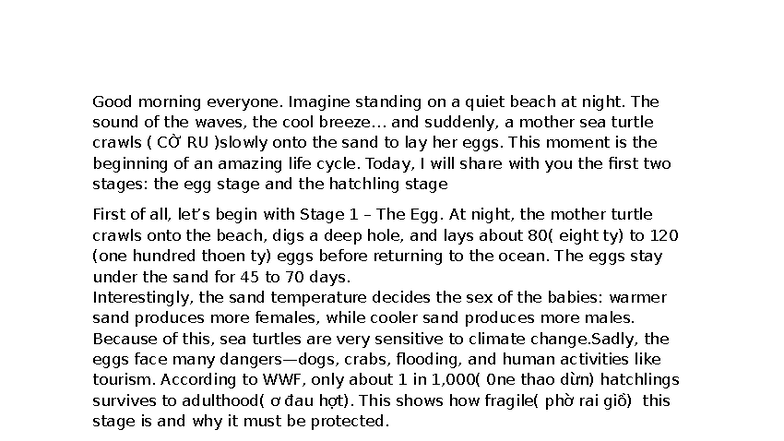TT TA3 - Sea Turtle Life Cycle: Egg & Hatchling Stages - Studocu