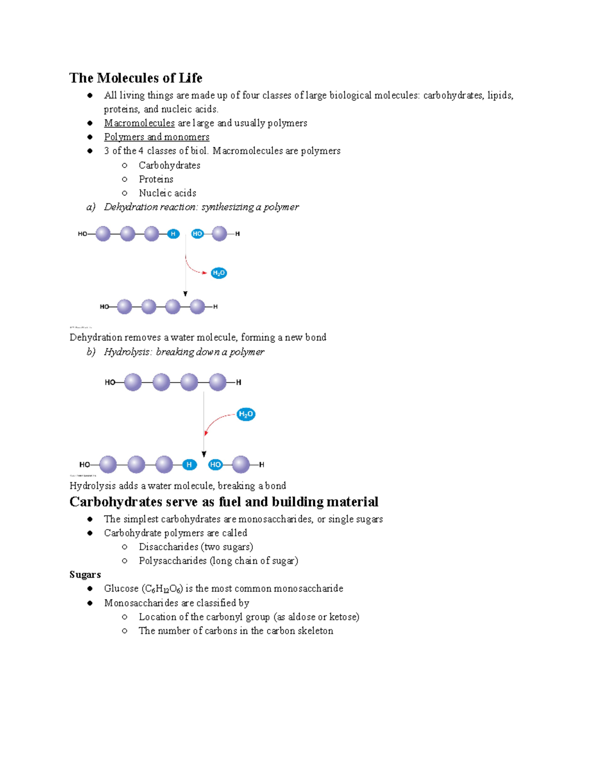 BIO 101 Lecture 5: Introduction to Biological Macromolecules and ...