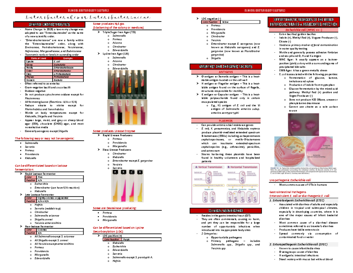 Comprehensive Study Notes on Enterobacteriaceae and Related Families ...