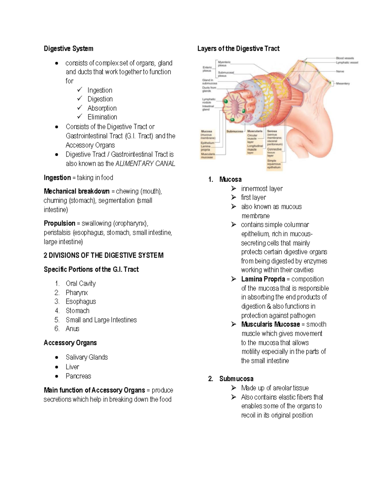 Digestive System Review Guide: Key Concepts & Functions - Studocu