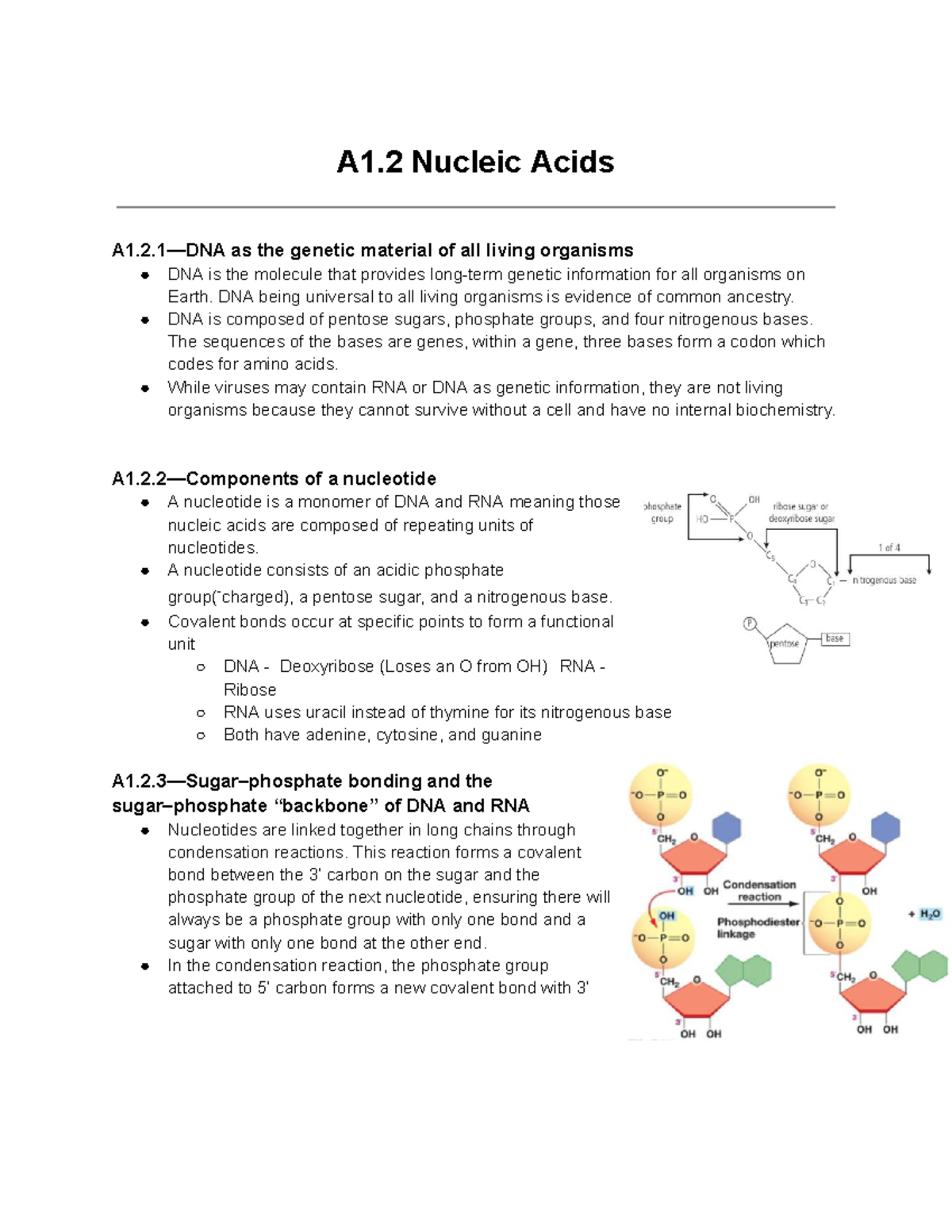 Biology Study Sheets: A1.2 Nucleic Acids as Genetic Material - Studocu