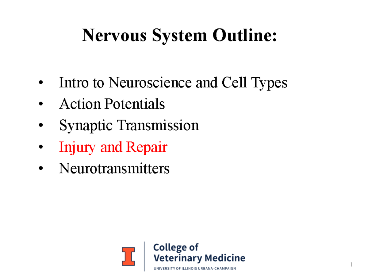 Nervous System – Lecture 4: Neural Injury and Repair Overview - Studocu