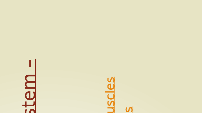 Chapter 11: Muscular System - Origin, Insertion & Naming Muscles ...