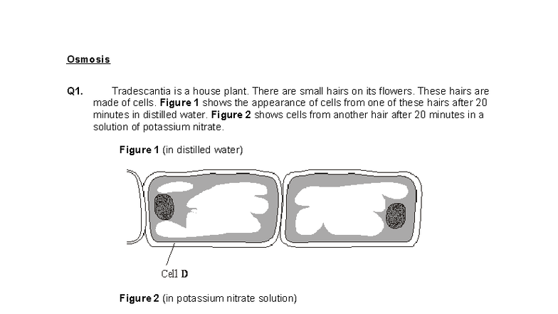 Osmosis Exam Questions - Biology 101 - Studocu