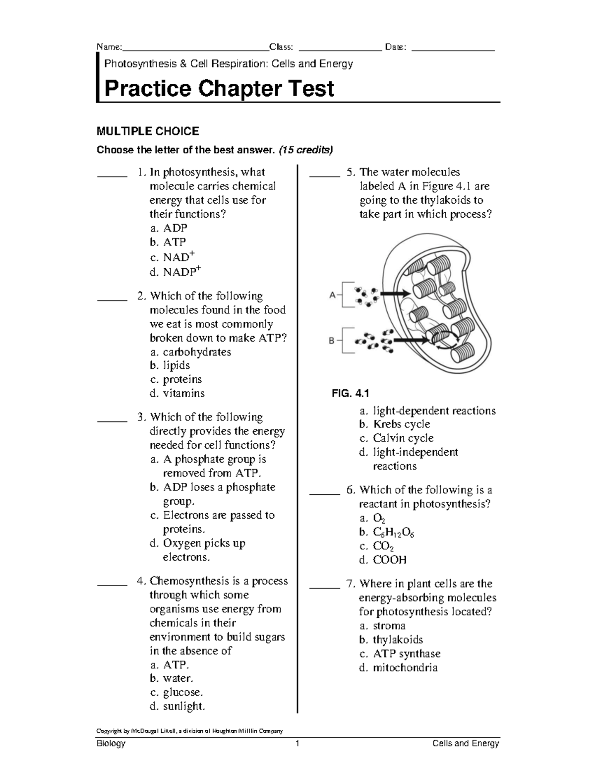 Biology 1-4 Cells and Energy: Practice Chapter Test Questions ...