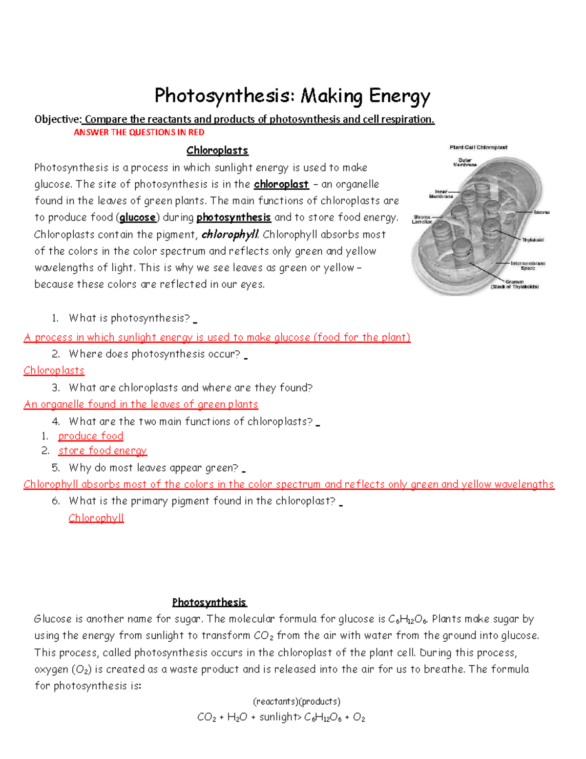 Copy of Photosynthesis Worksheet - Photosynthesis: Making Energy Objective: Compare the ...