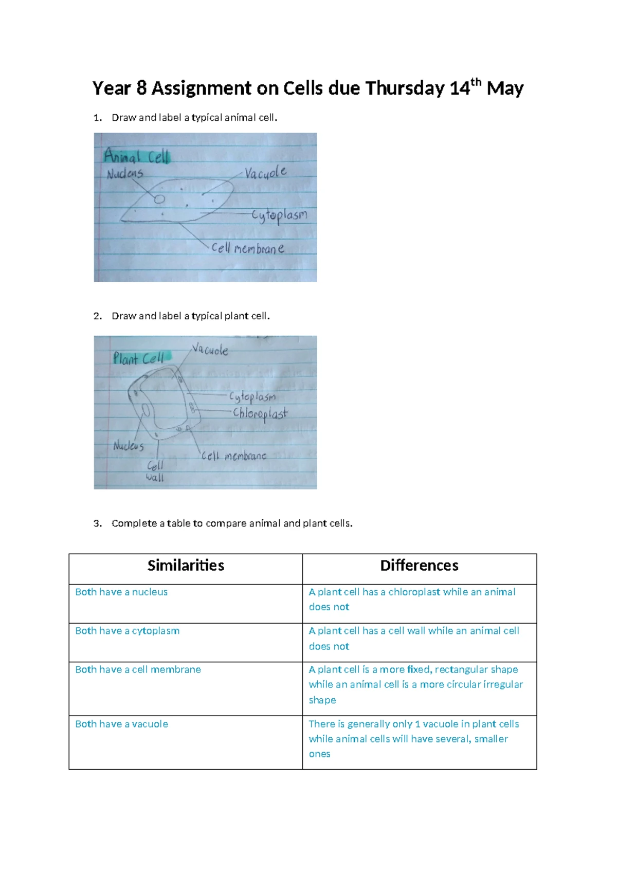 Year 8 Chemistry Test (with Answer Sheet) - Comprehensive Assessment ...