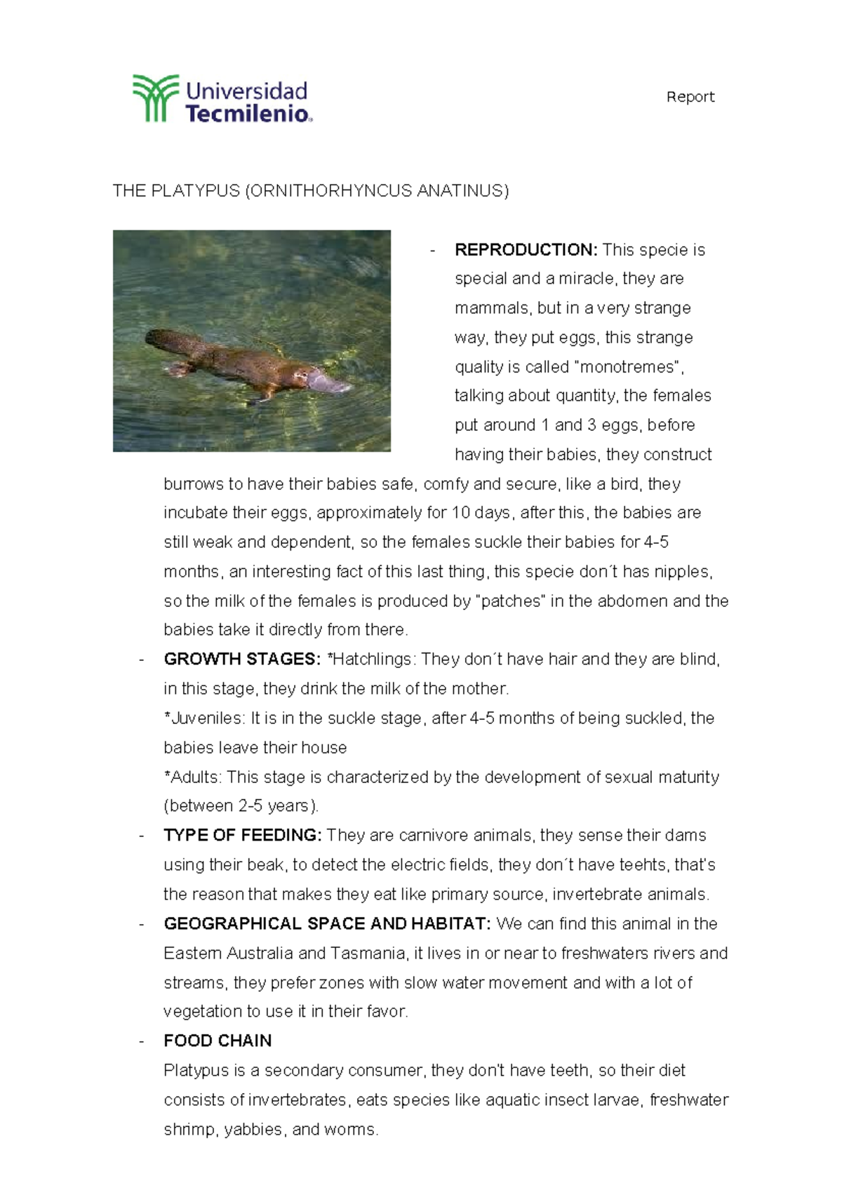 Evidence 1-Life Science - Report THE PLATYPUS (ORNITHORHYNCUS ANATINUS ...