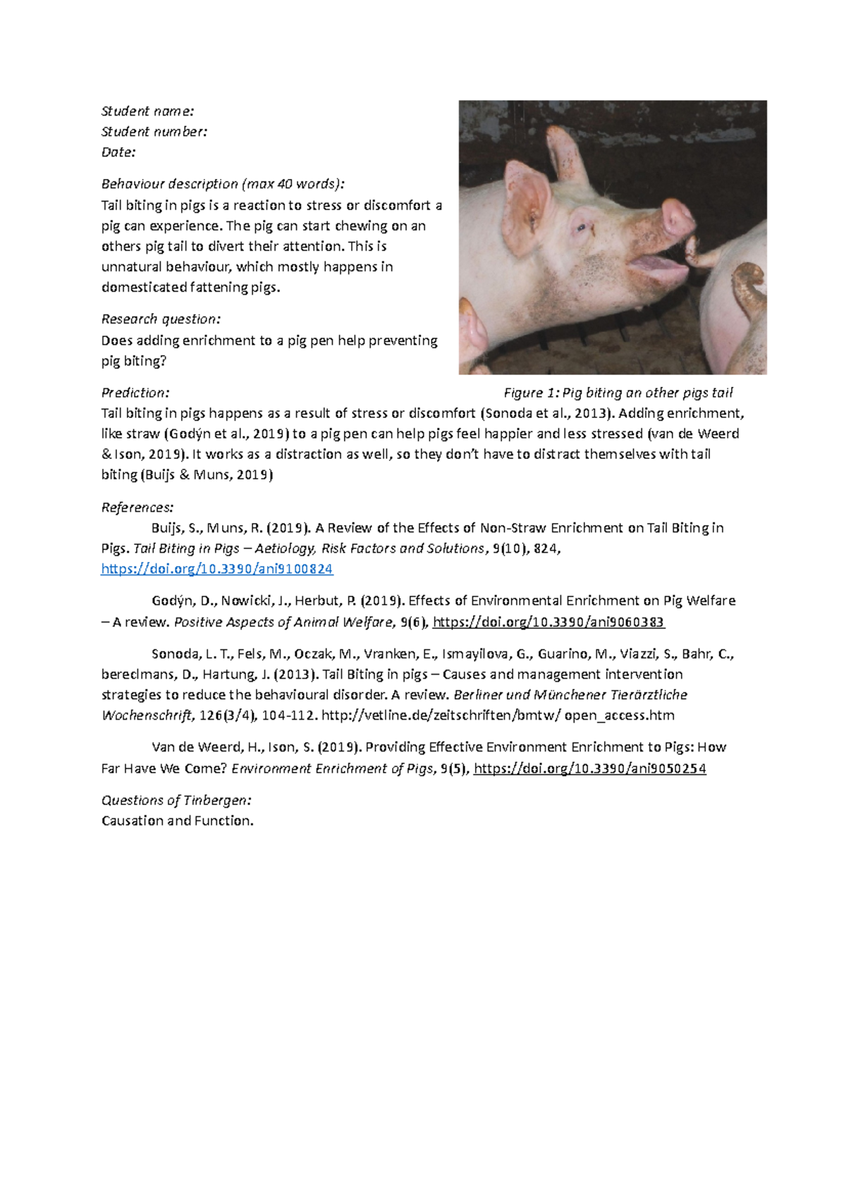 Animal Behaviour Individual Assignment: Tail Biting in Pigs (AB 101 ...