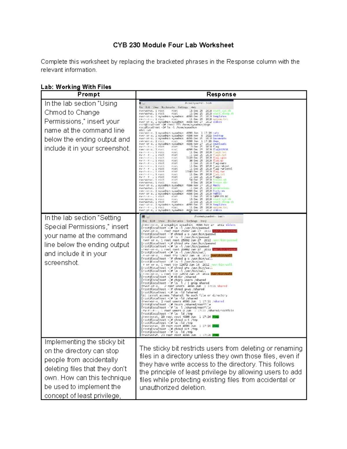 CYB 230 Module 4 Lab Worksheet: Working with File Permissions - Studocu