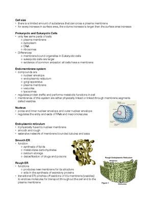 Ch 19 cancer medicine - medical terminology - cancer terms oncology ...