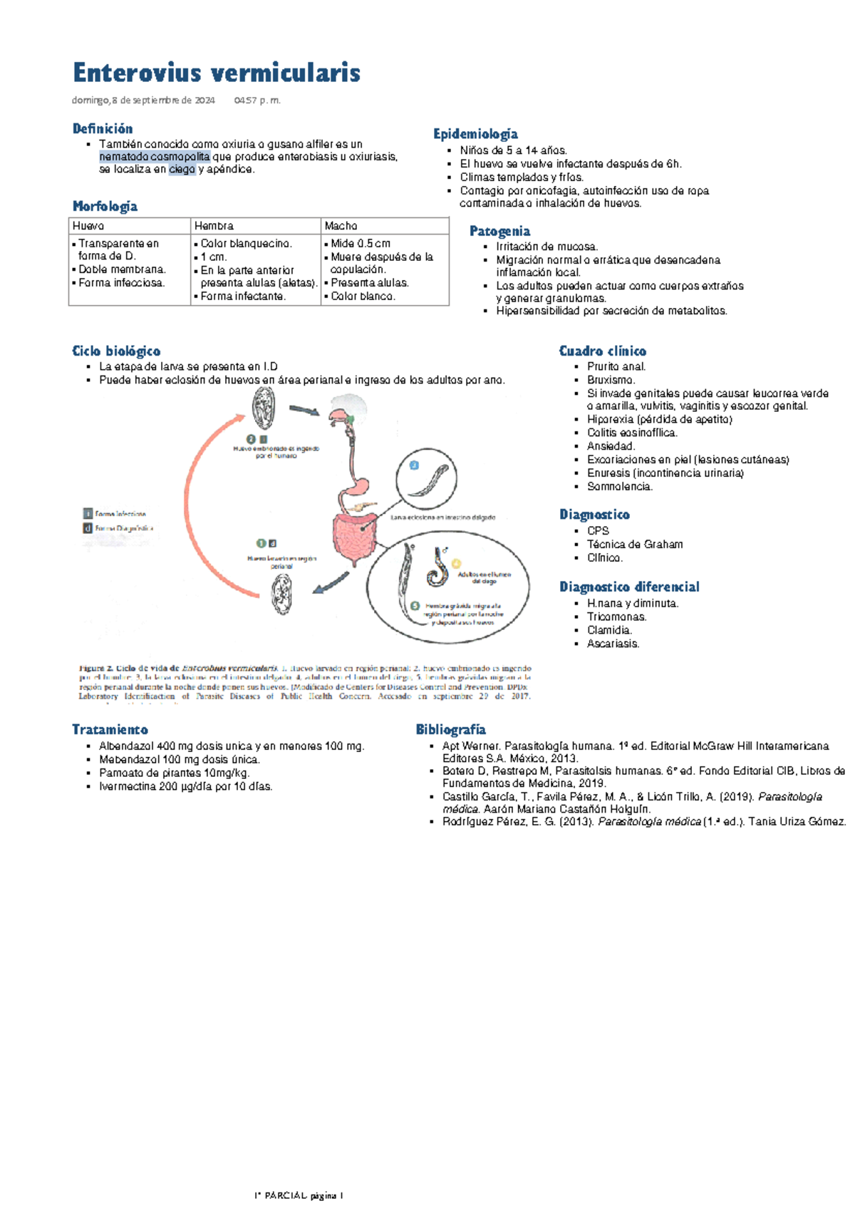 Enterobius vermicularis: Estudio de Enterobiasis y su Tratamiento - 1 ...