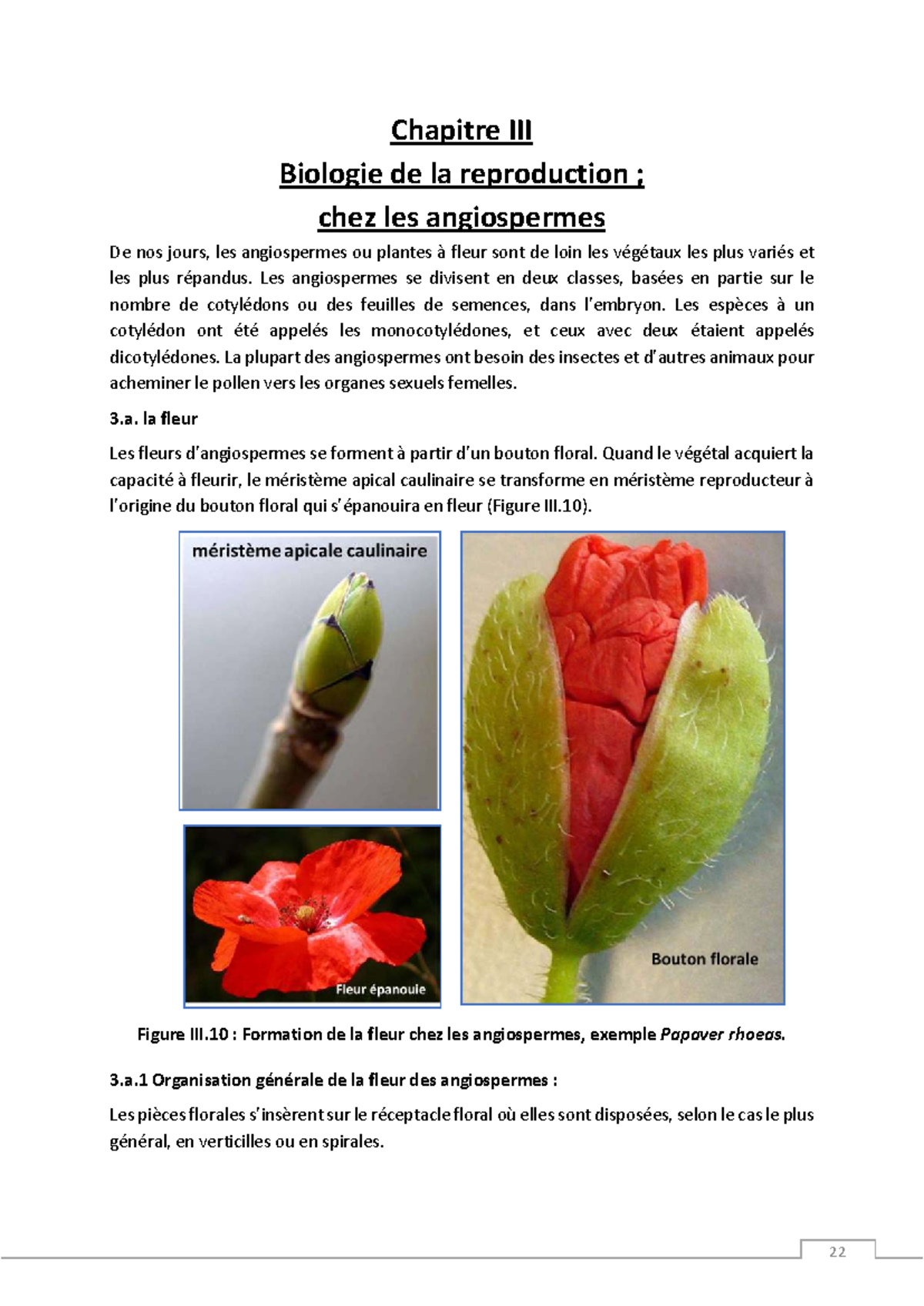 Chapitre III - Biologie de la Reproduction chez les Angiospermes - Studocu