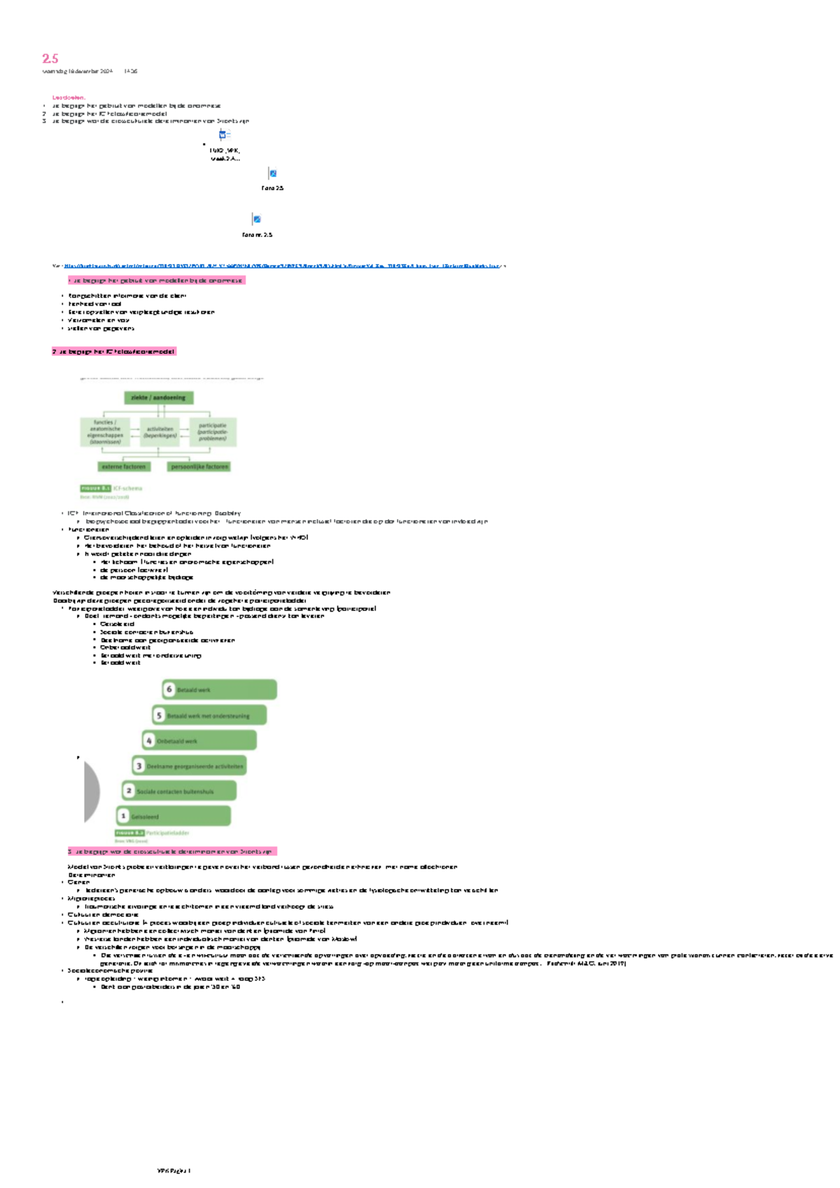 LUK2_VPK Lesdoelen en Modellen voor Anamnese en ICF Classificatie ...