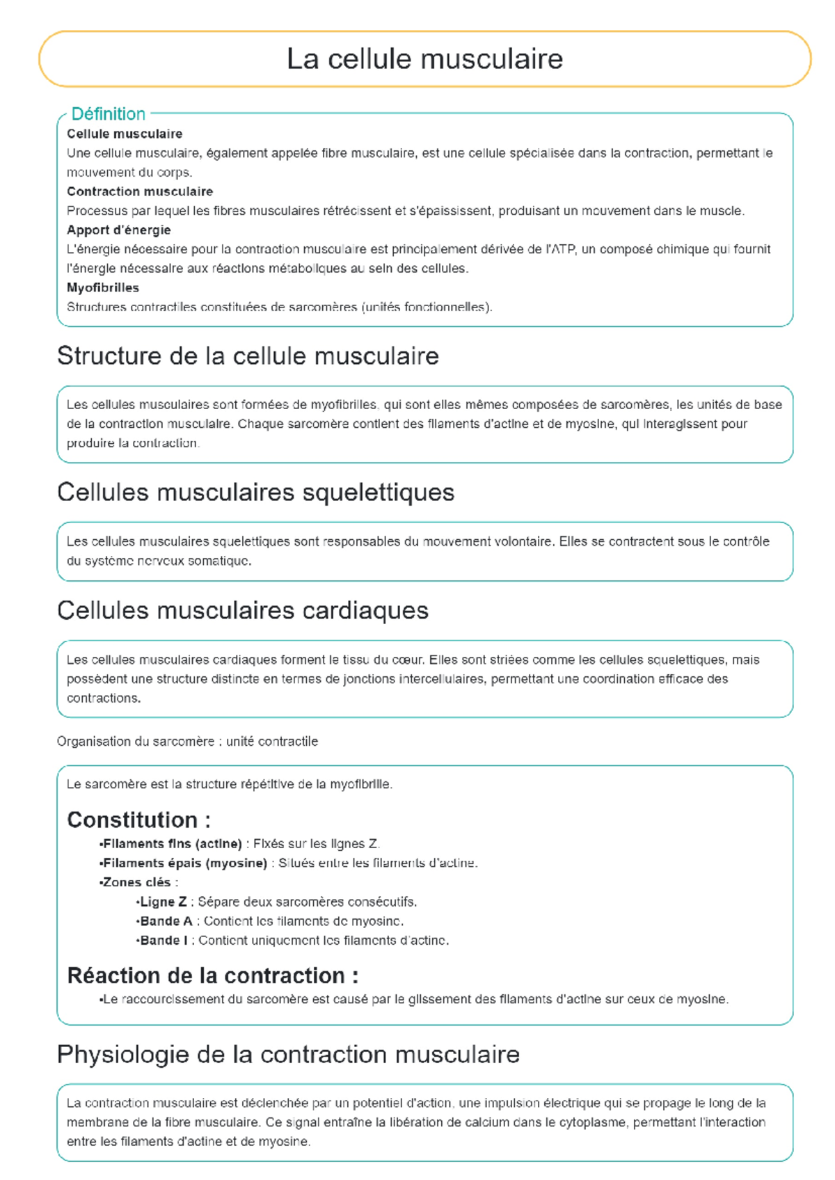 La cellule musculaire : Définition et Physiologie - Fiche - Studocu