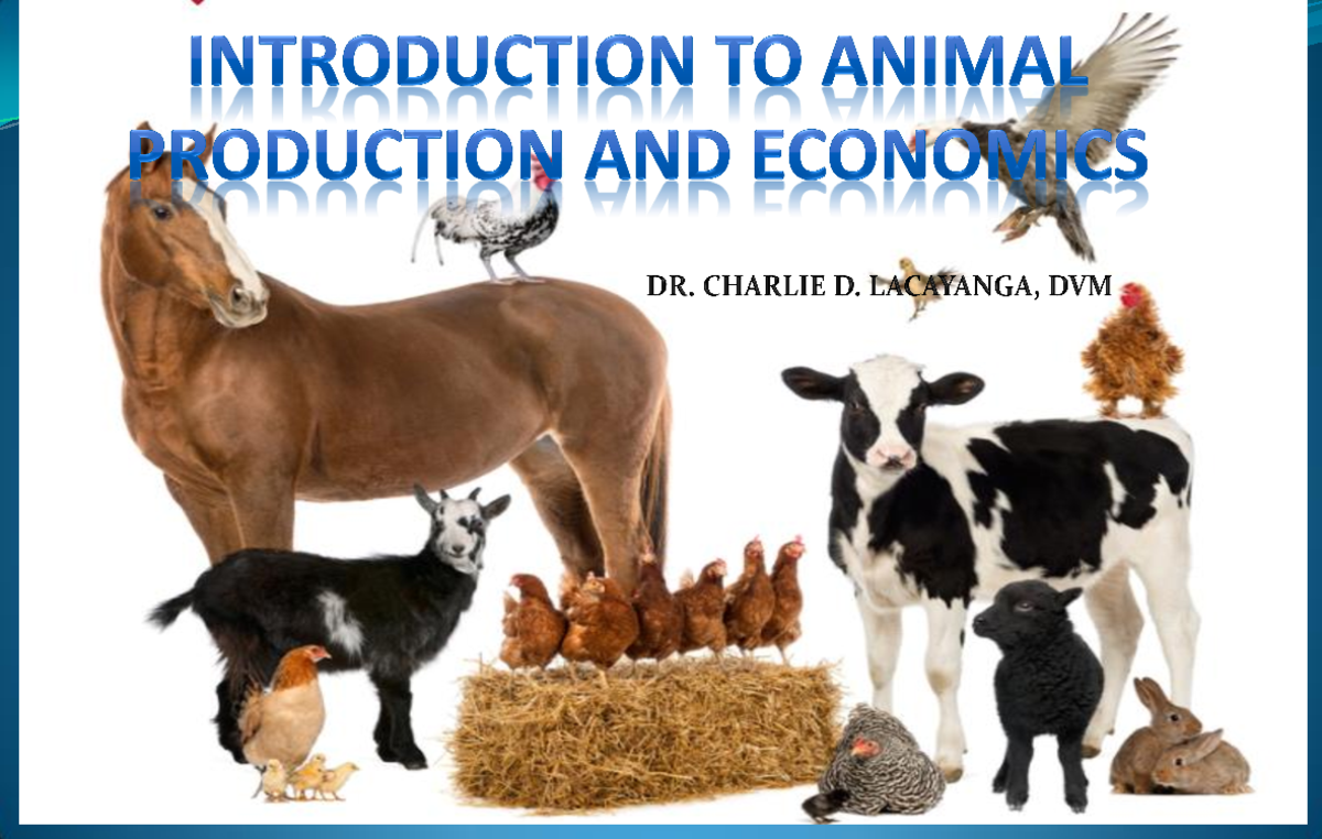 Introduction to Animal Production and Economics: Key Concepts and ...