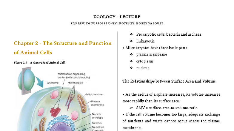 ZOOLOGY LECTURE NOTES (CHAPTER 2): CELL STRUCTURE & FUNCTION - Studocu