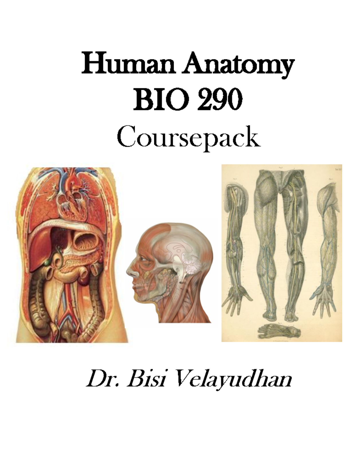 BIO 290 Human Anatomy Lecture Coursepack by Dr. Velayudhan - Studocu