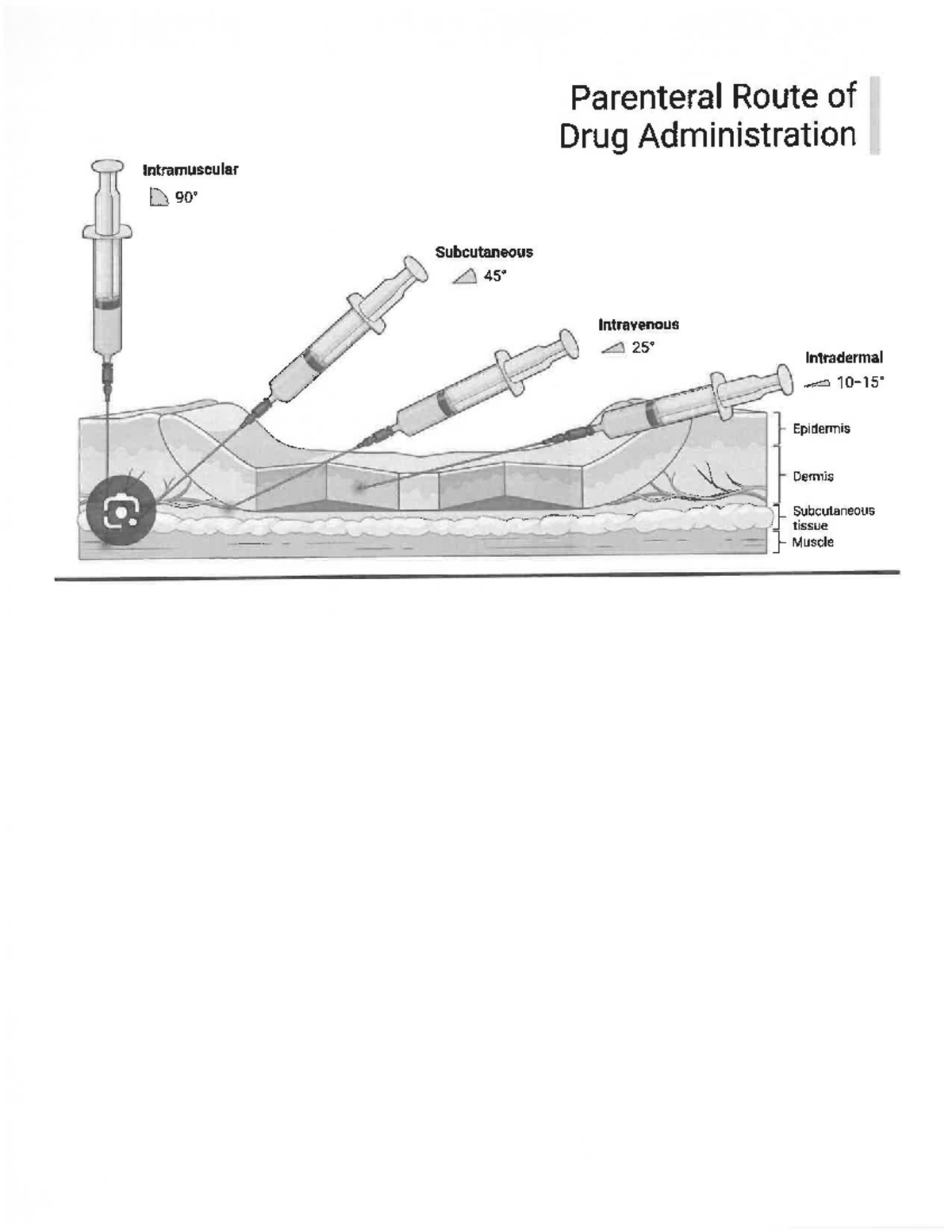SKM C550i25060804320 - to know - Parenteral Route of Drug ...