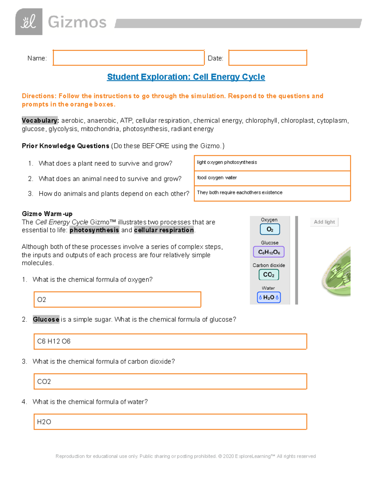 Gizmo Exploration: Cell Energy Cycle and Photosynthesis Simulation ...