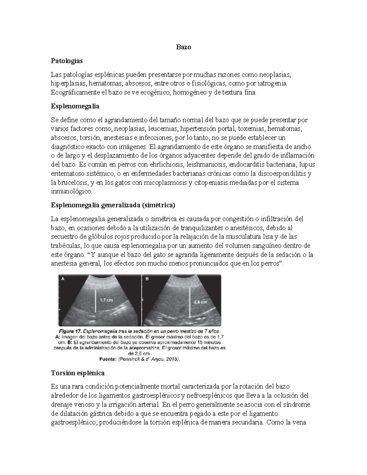 Bazo: Enfermedades Detectables por Ecografía (Patologías Esplénicas ...