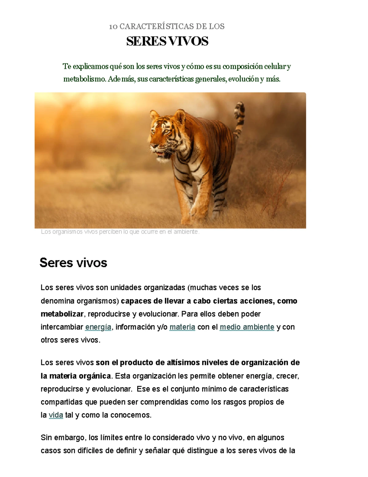 Los Cinco Reinos de los Seres Vivos: Clasificación y Características ...