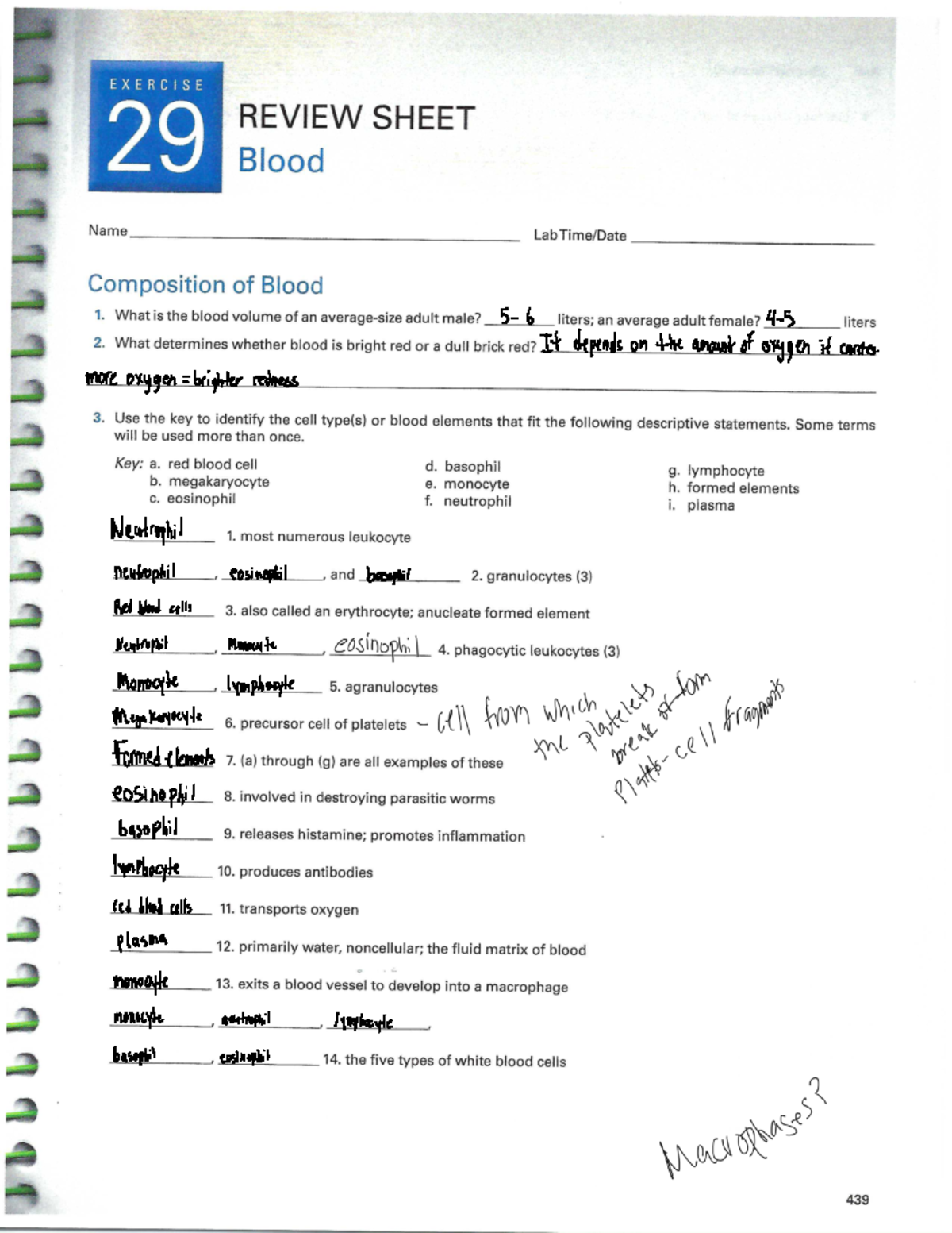 BIO 101 EXERCISE 29 REVIEW SHEET: Blood Composition & Functions - Studocu