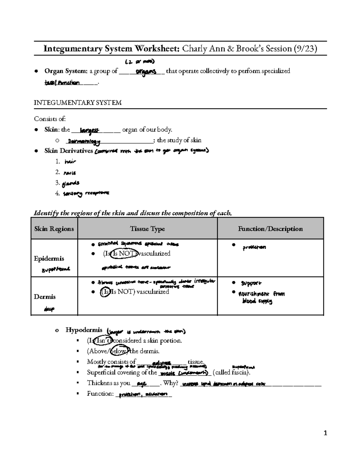 Integumentary System Worksheet: Study Guide for Final Exam (BIO 101 ...