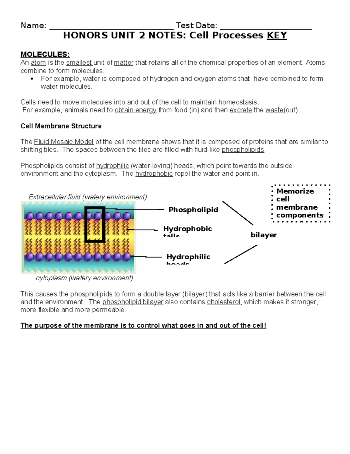 HONORS UNIT 2 NOTES: Cellular Energy Processes and Transport - Name