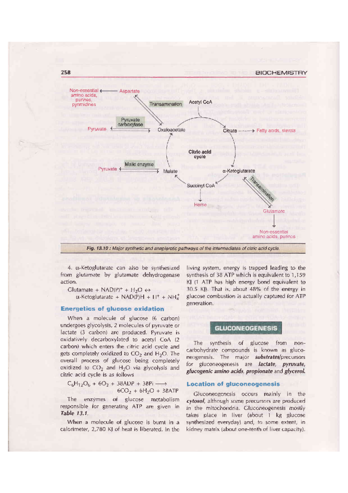 Biochemistry satyanarayana chakrapani cbbxch (1)-30 - 258 BIOCHEMISTF|Y ...