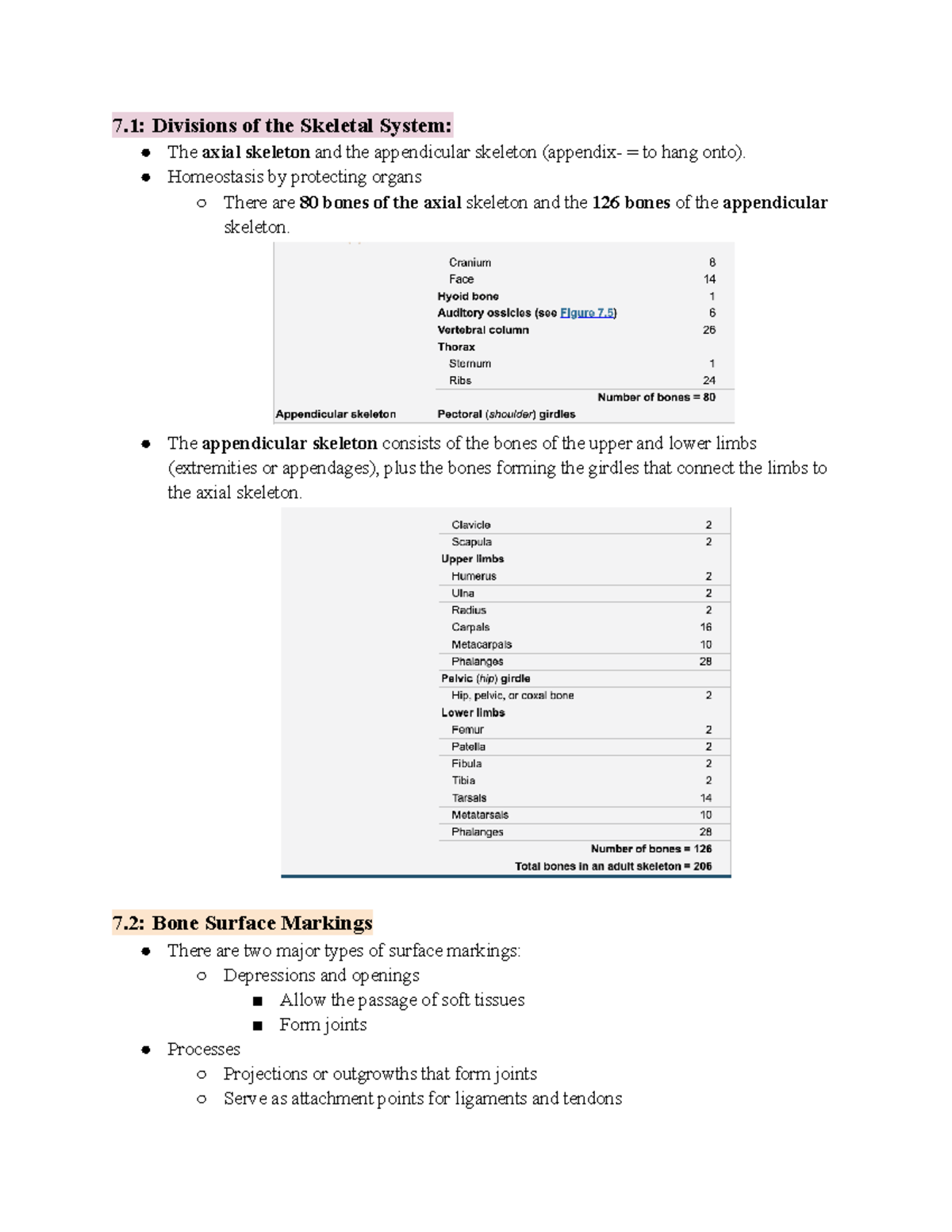 A&P Chapter 7: Skeletal System Overview and Bone Markings Notes - Studocu