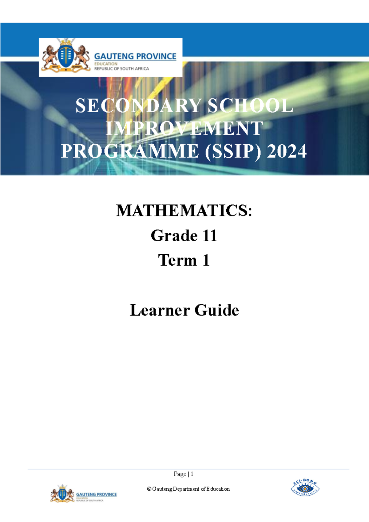 SSIP Mathematics Learner Guide: Term 1 2024 for Grade 11 - Studocu