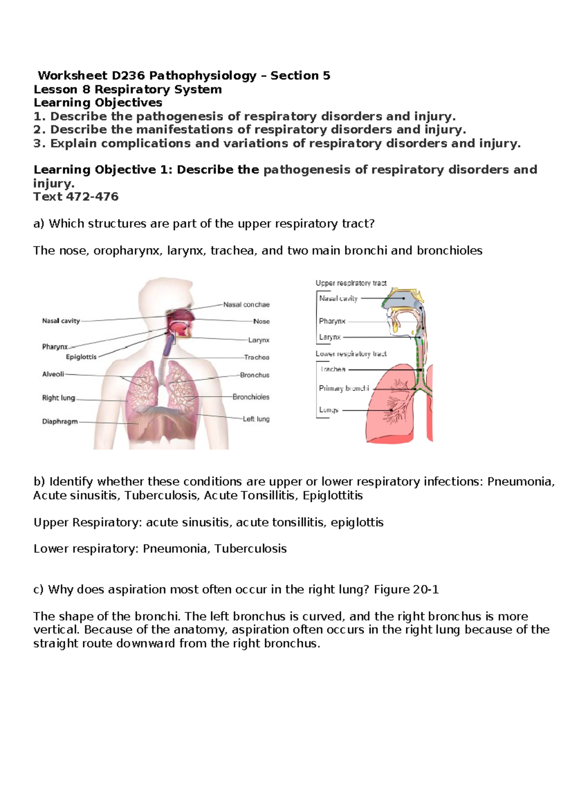 D236 Worksheet & Study Guide: Respiratory System Pathophysiology - Studocu