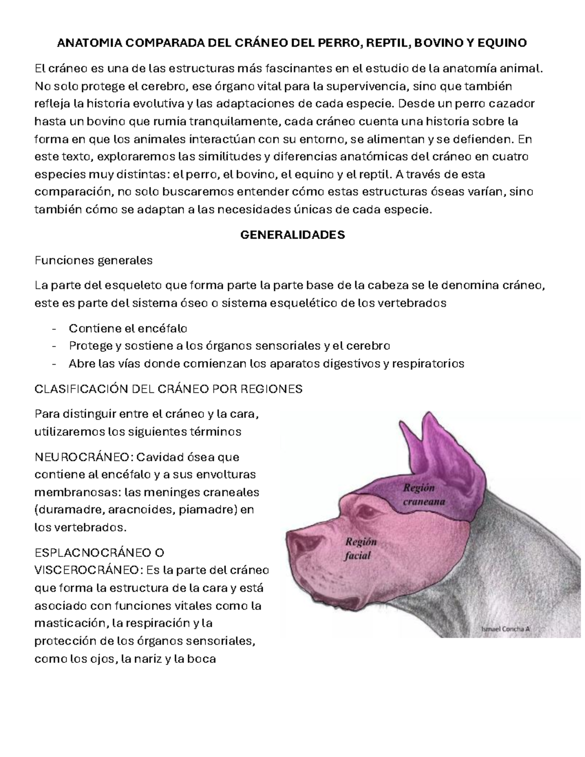 Anatomía Comparada Veterinaria ANATOMIA DEL AVE Para Medicina