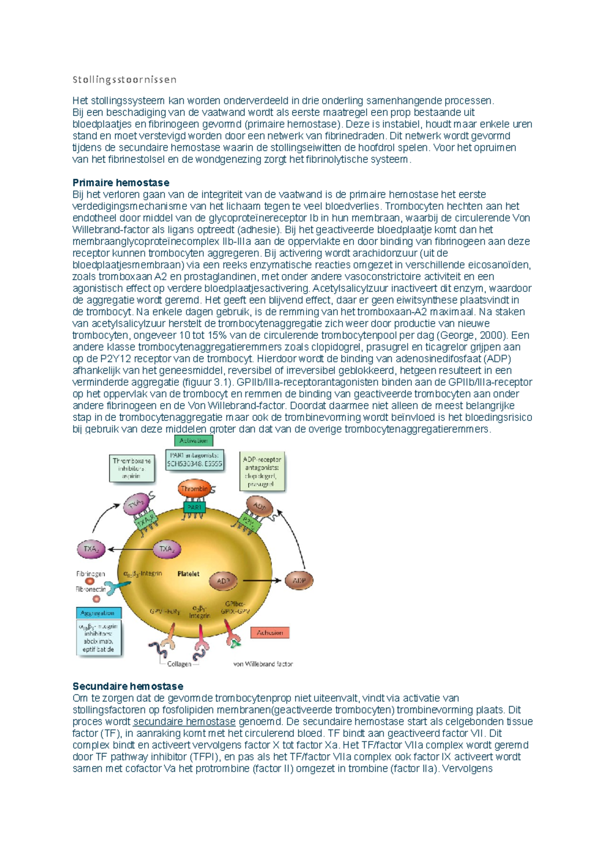 Overzicht van Bloedstolling en Stollingsstoornissen - Fysiologie en ...
