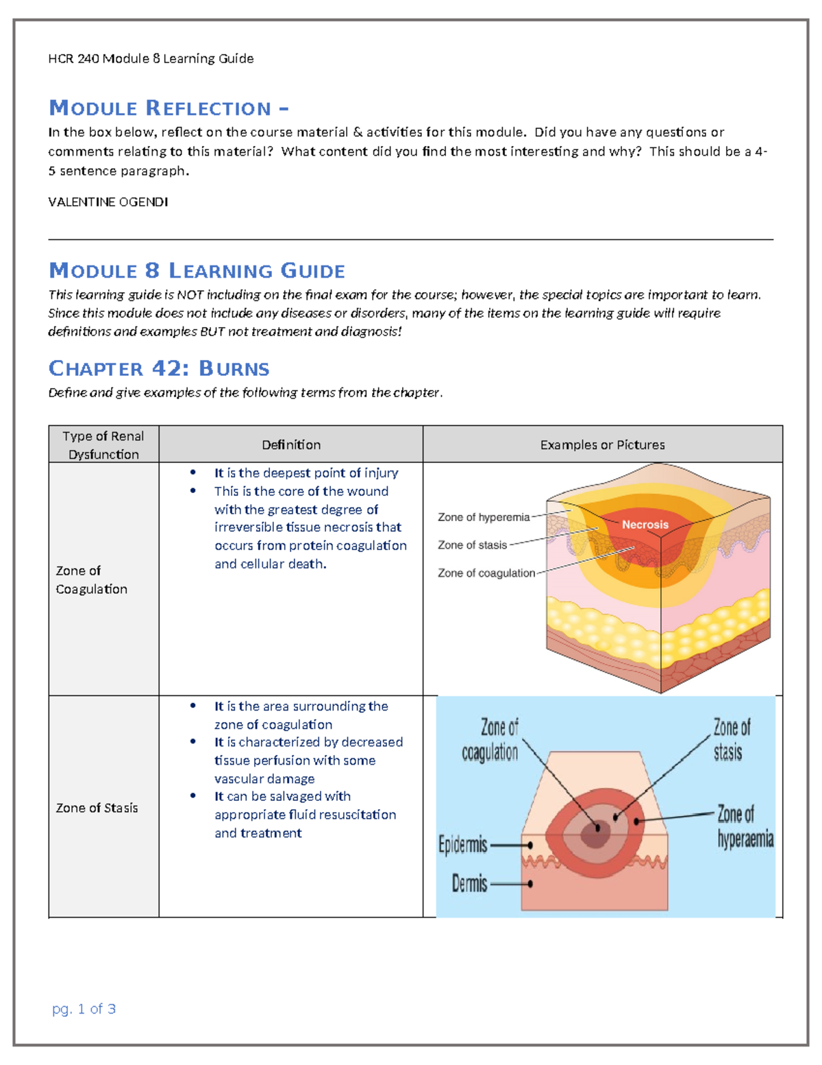 HCR 240 Module 8 Reflection and Learning Guide - Studocu