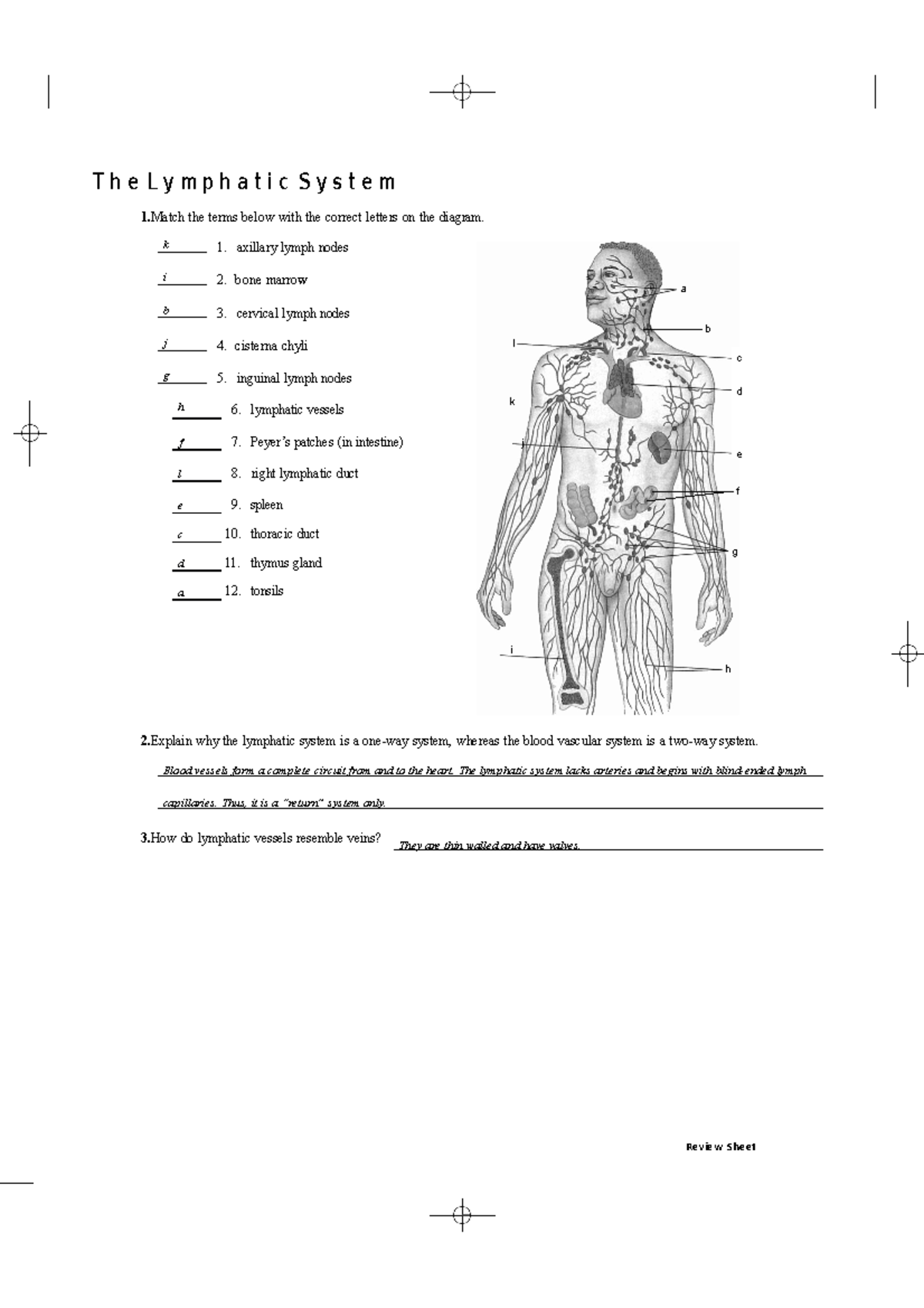 Lymphatic Activity - Review Sheet a b l c d e f g h T h e L y m p h a t ...