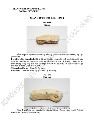 NTDL-1-30 - NTDL-1-30 - BÁCH BỘ Stemona tuberosa Stemonaceae Củ ...